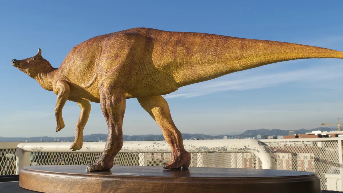 Dino-mite! We Struck Gold | Natural History Museum