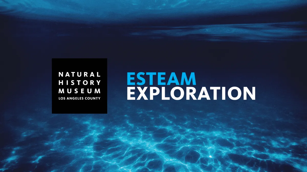 ESTEAM Exploration | Natural History Museum