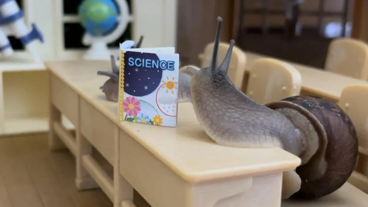 Online Talk: Ask the Snail Doctor Anything | Natural History Museum