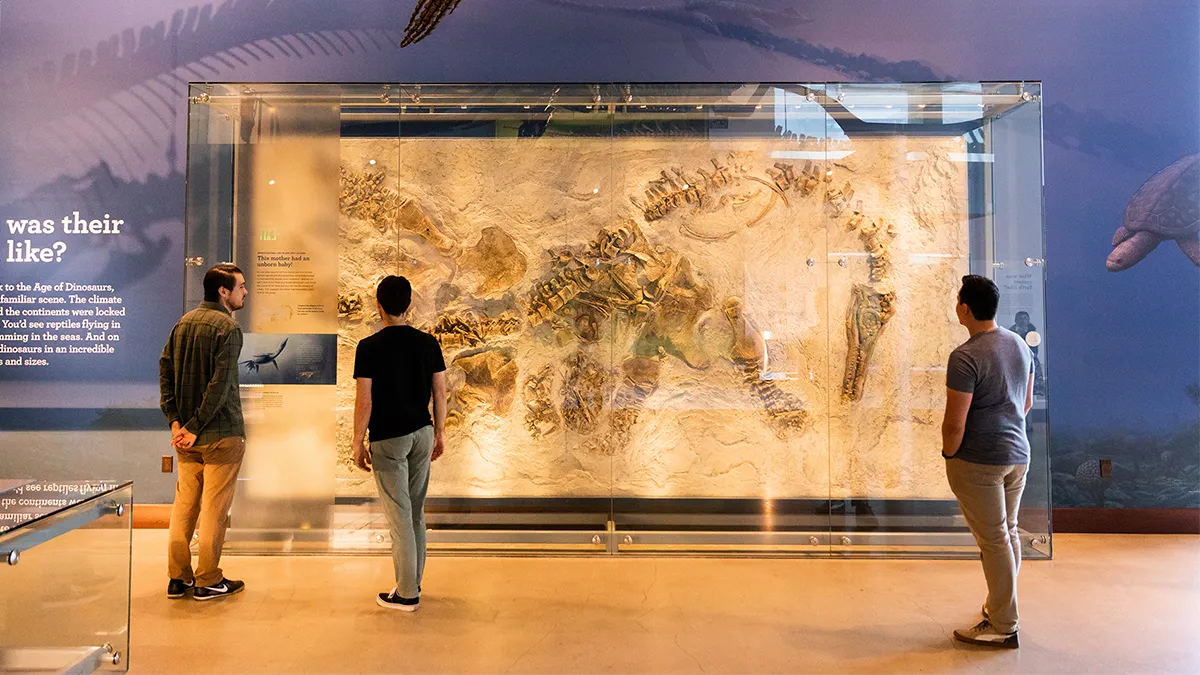 Dinosaur Hall | Natural History Museum
