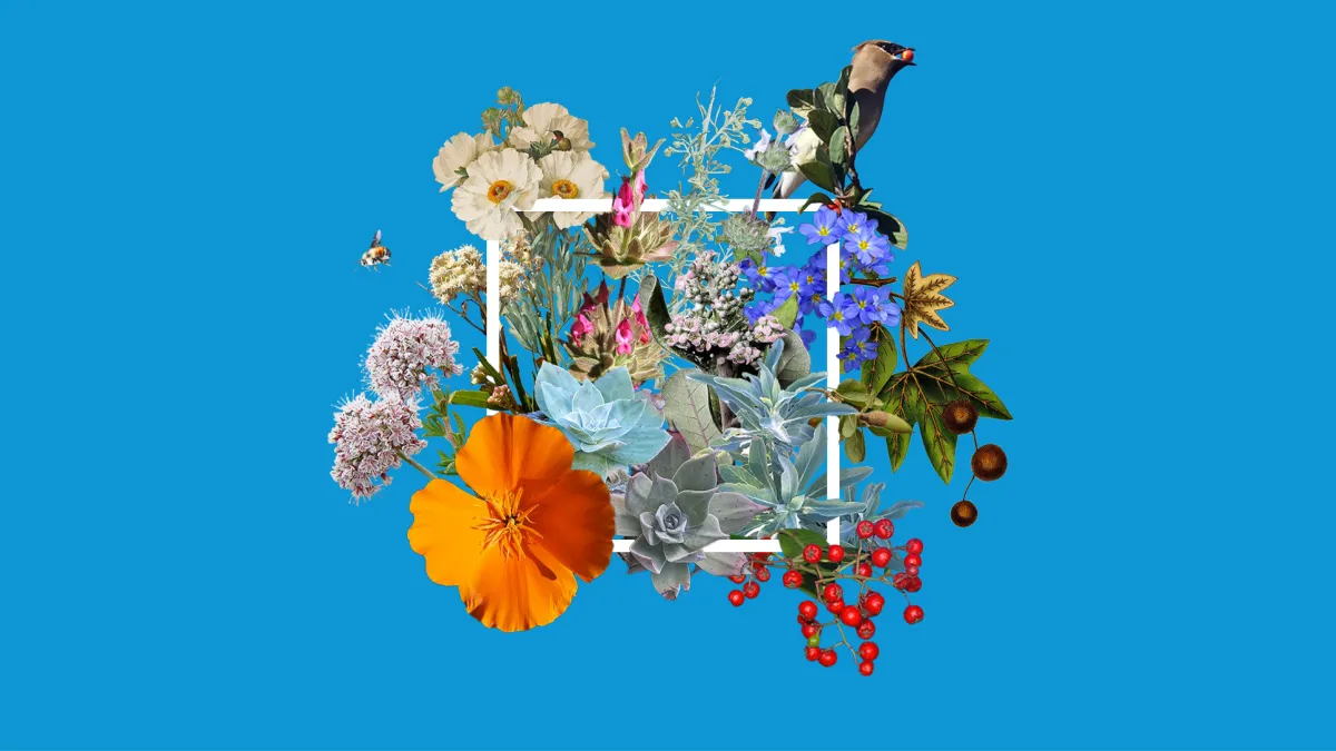 Educator Summer Conference | Natural History Museum