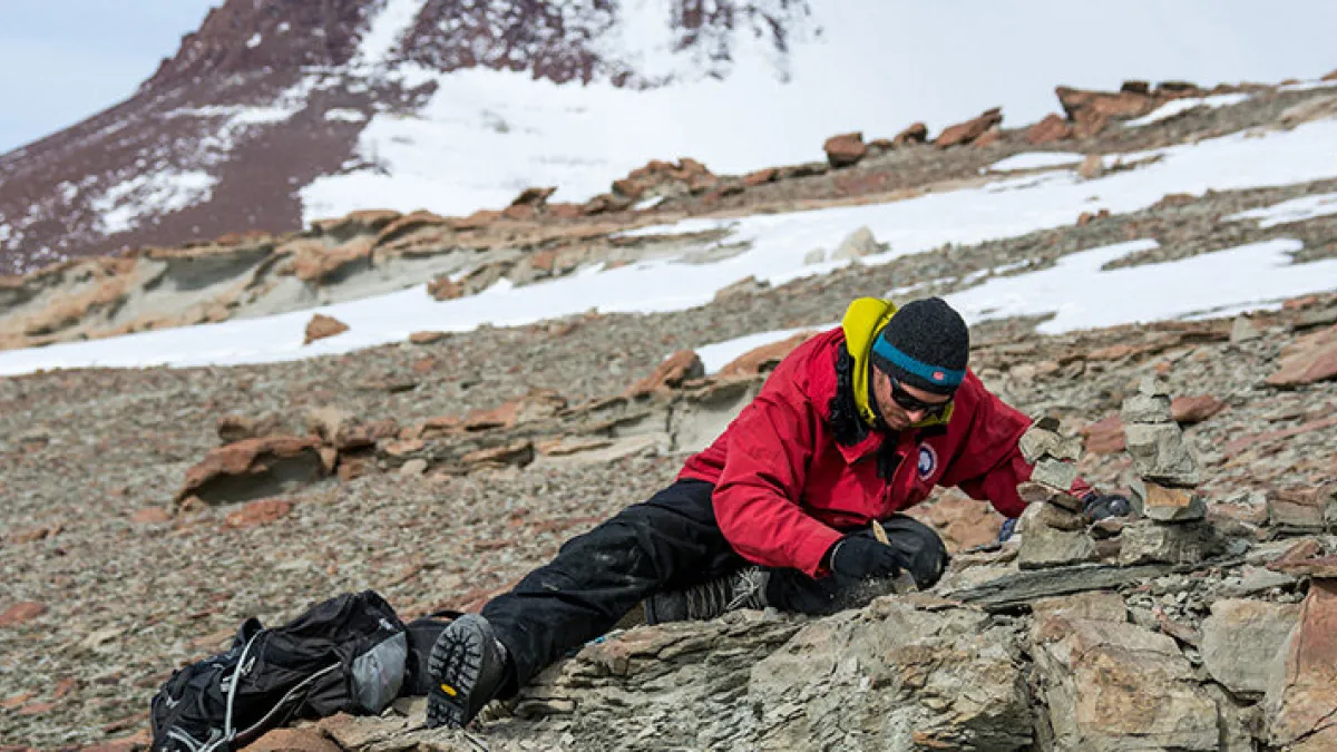 NHM POSTDOCTORAL FELLOWS | Natural History Museum