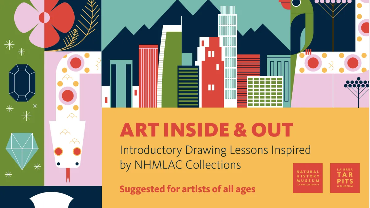 Art Inside & Out: Introductory Drawing Lessons Inspired by NHMLAC ...
