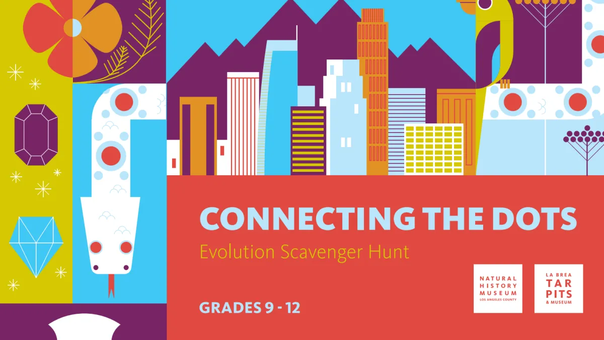 Connecting the Dots: Evolution Scavenger Hunt | Natural History Museum