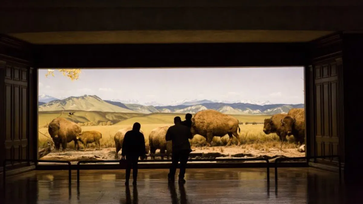 Natural History Museums of Los Angeles County Announces Artists ...