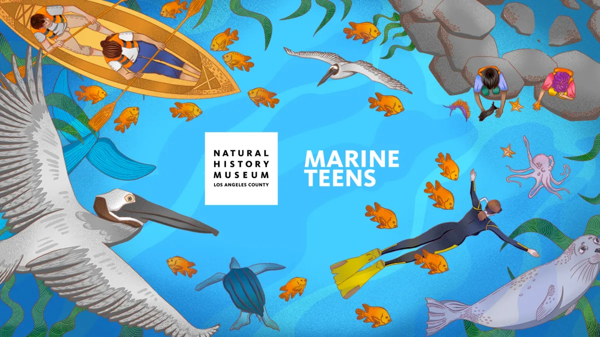 Marine Teens Internship | Natural History Museum