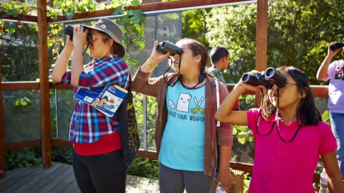 Nature Gardens Exploration | Natural History Museum