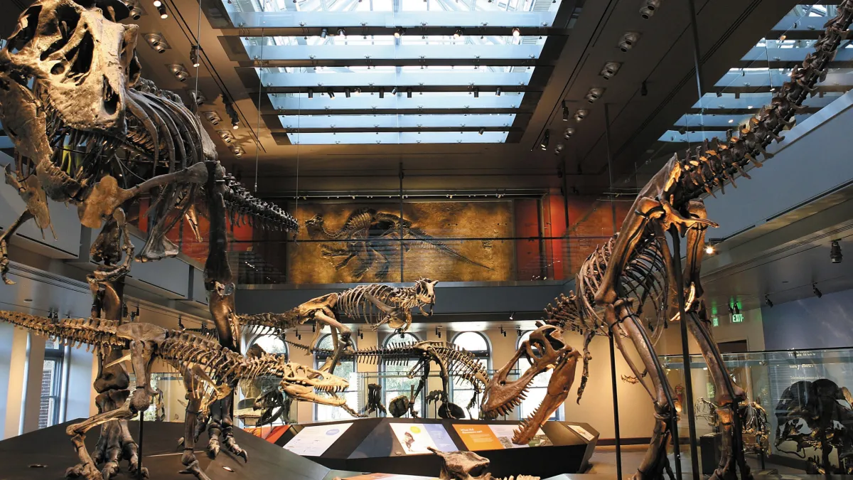 Dinosaur Hall Tour | Natural History Museum