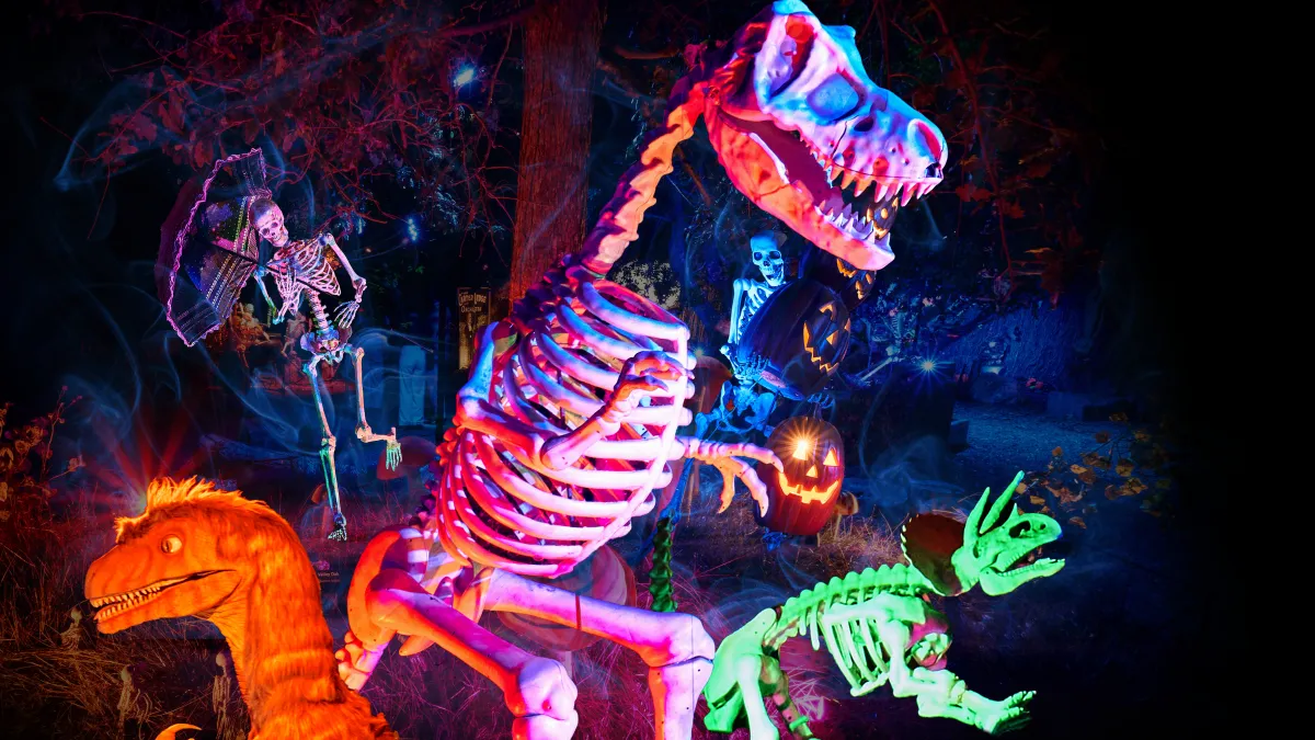 Boney Island | Natural History Museum