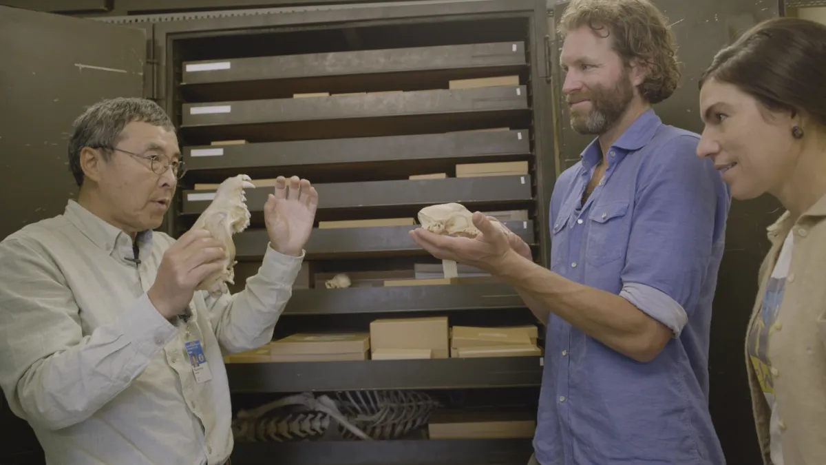 NHM's Mammalogy Collection with NATGEO's Ronan Donovan & Dr. Xiaoming ...