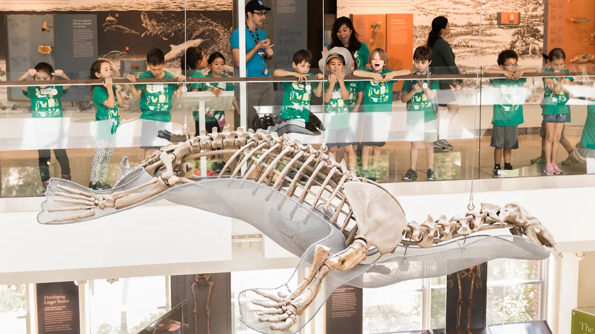 Adventures in Nature Day Camp: Pod Patrol | Natural History Museum