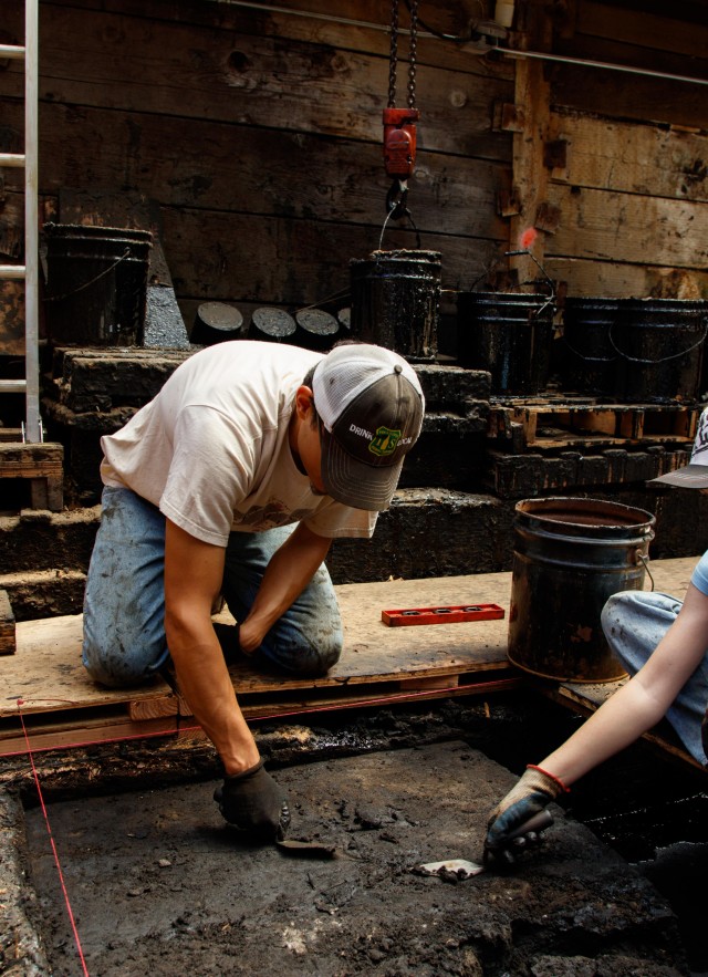 Discoveries | Natural History Museum