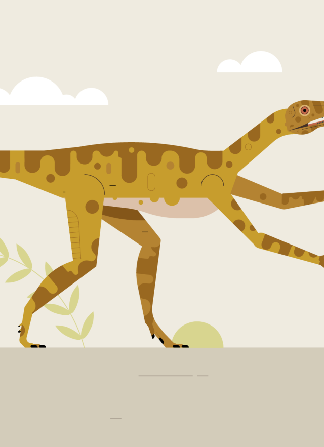 Pterosaurs Dromomeron Chasing Dragonfly | Natural History Museum