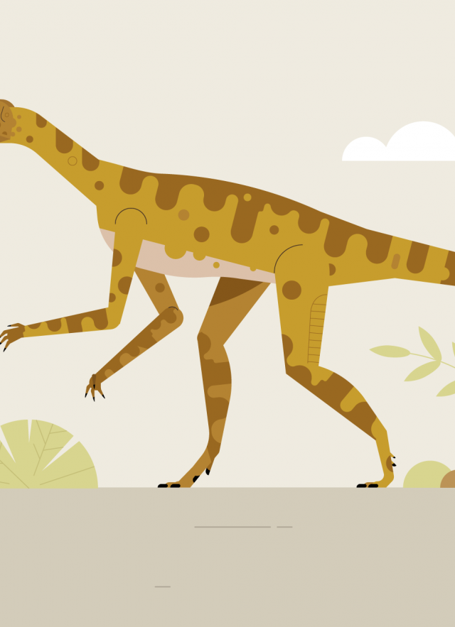 Pterosaurs Dromomeron Looking Up | Natural History Museum