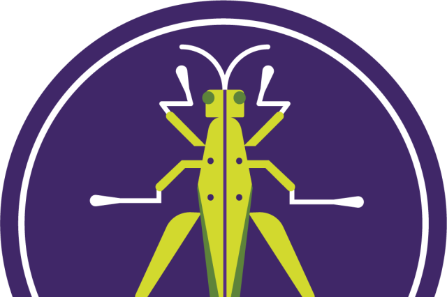 Science of SpongeBob | Natural History Museum