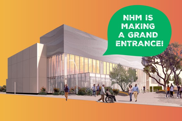 NHM Commons | Natural History Museum