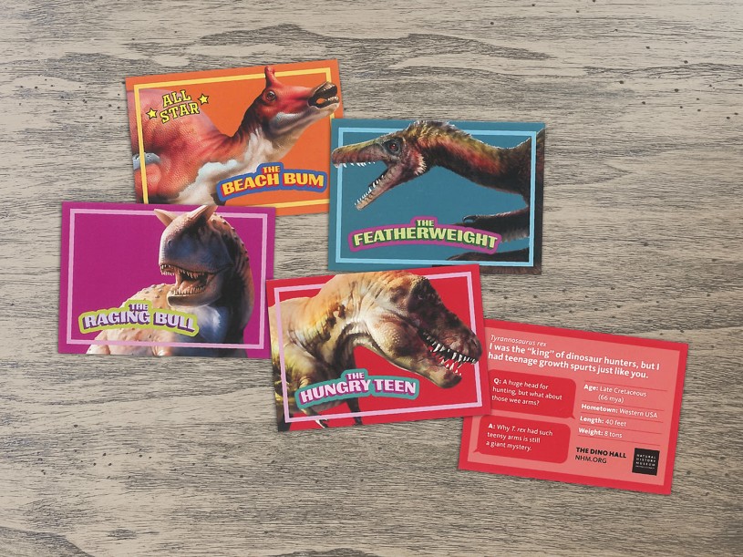 Dinosaur Hall | Natural History Museum